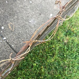 Fake Barb Wire 10 Feet Halloween Decorations Home Haunt - Etsy