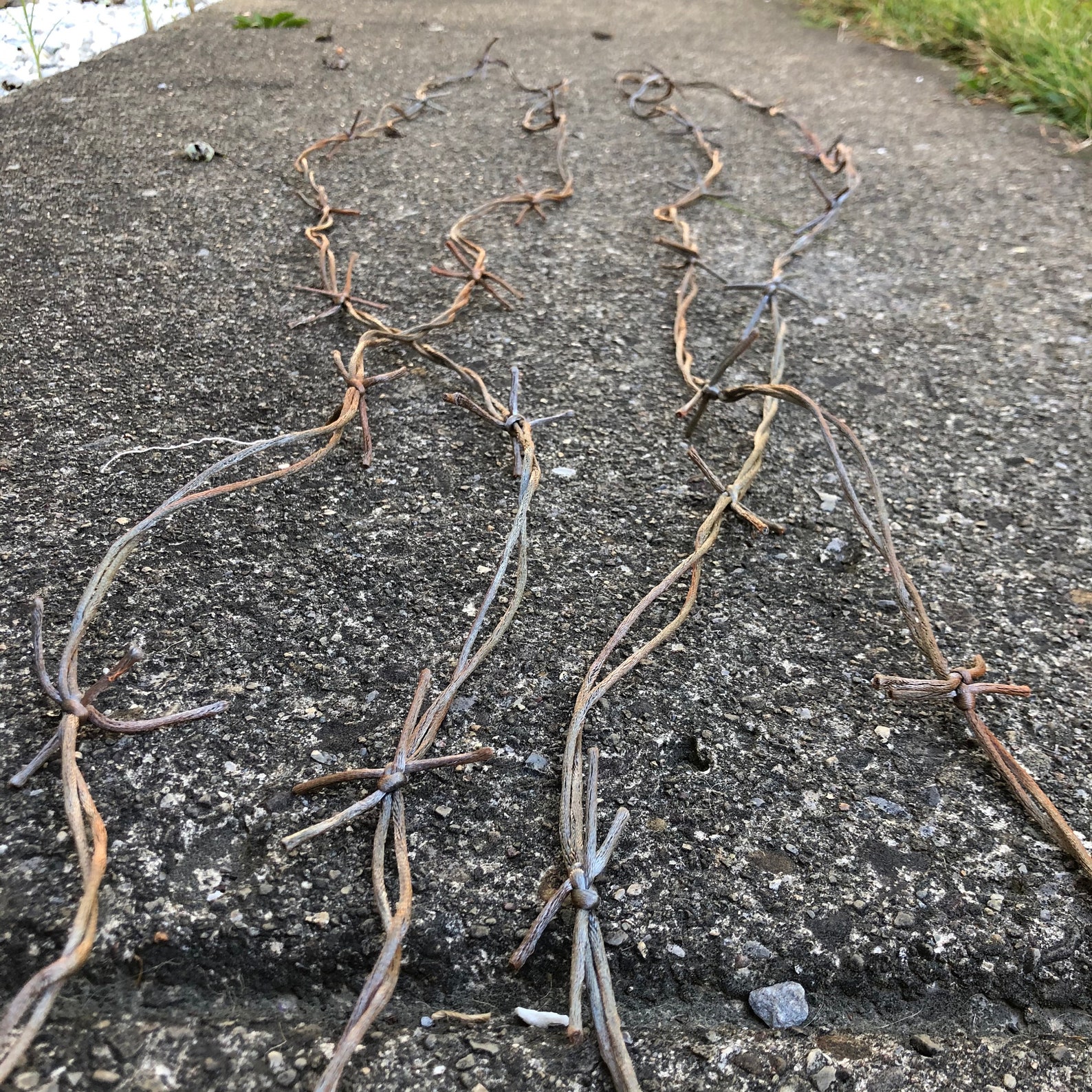 Fake Barb Wire 10 Feet Halloween Decorations Home Haunt - Etsy