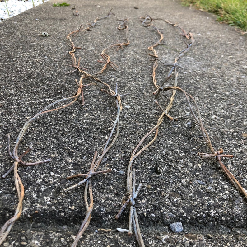 Fake Barb Wire 10 Feet Halloween Decorations Home Haunt - Etsy