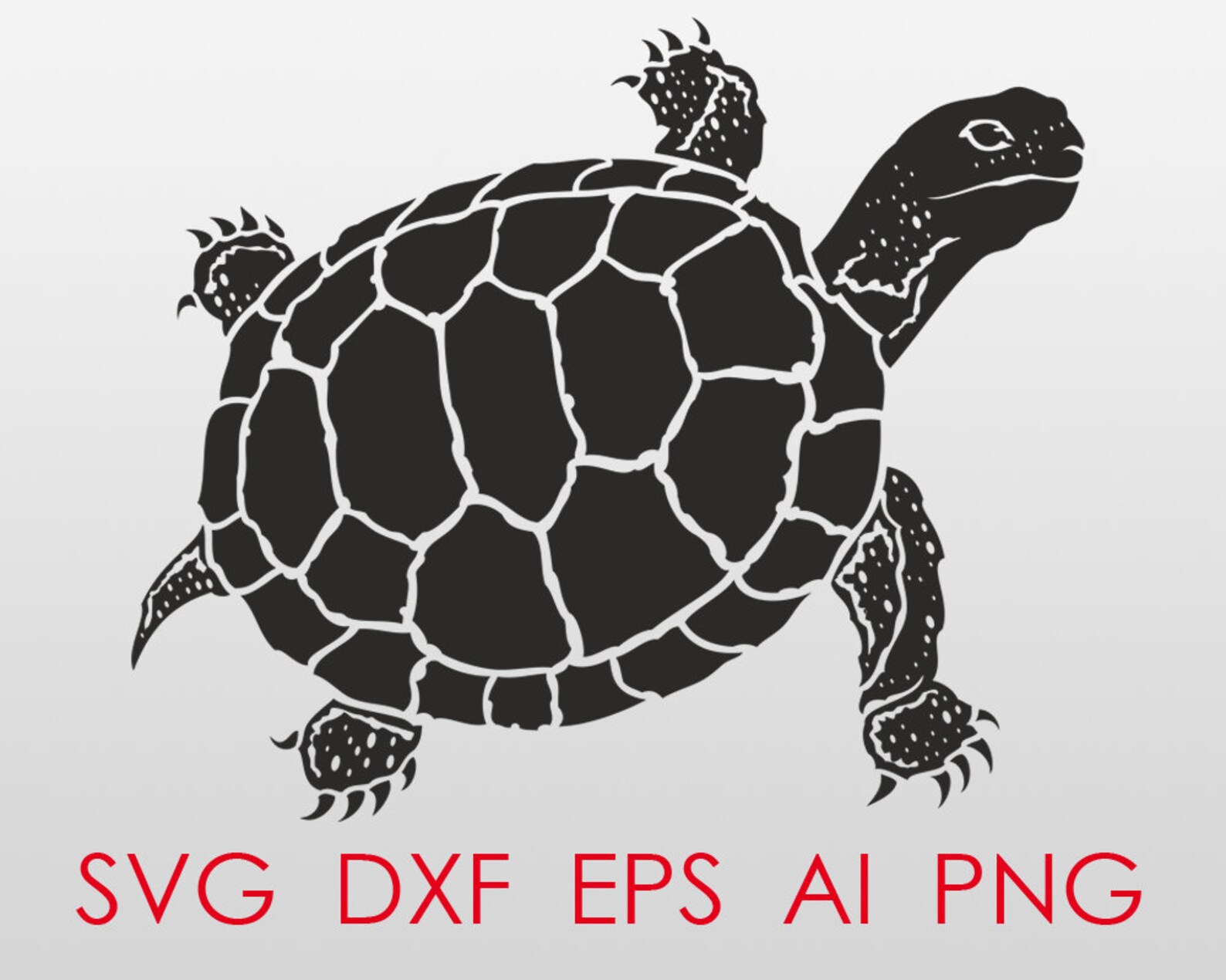 Turtle SVG file Turtle design SVG Turtle image Svg Turtle | Etsy