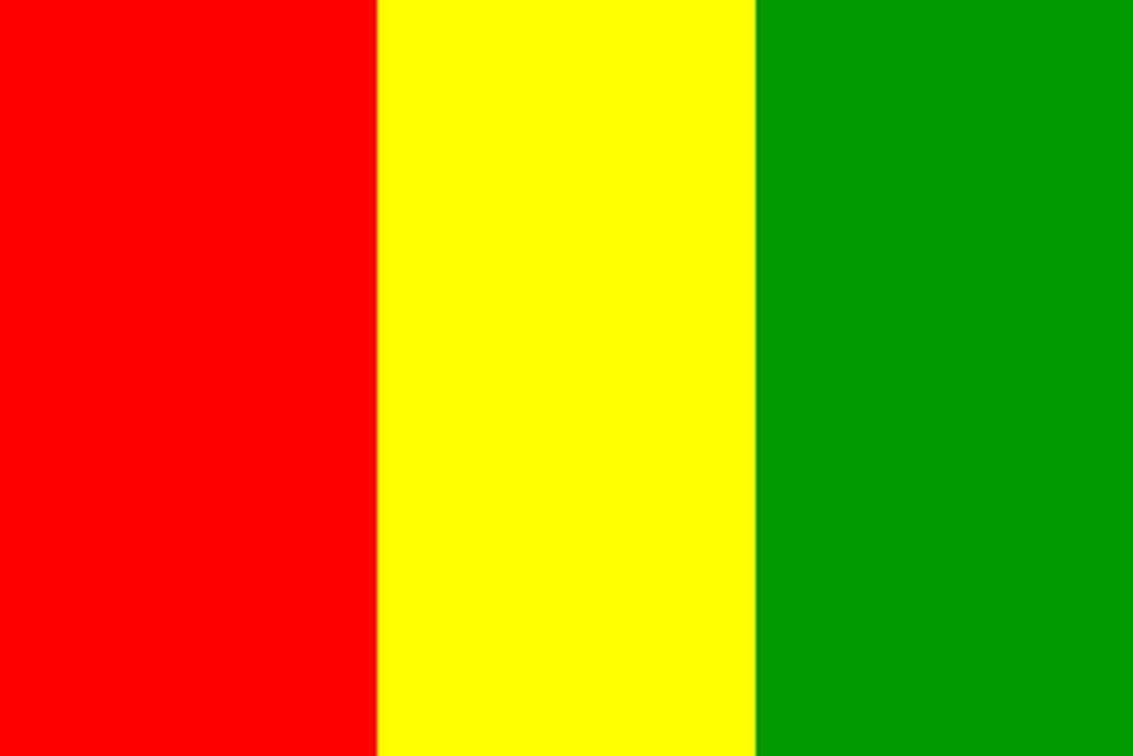 GUINEA FLAG 5X3 FEET (150cm X 90cm) - Etsy
