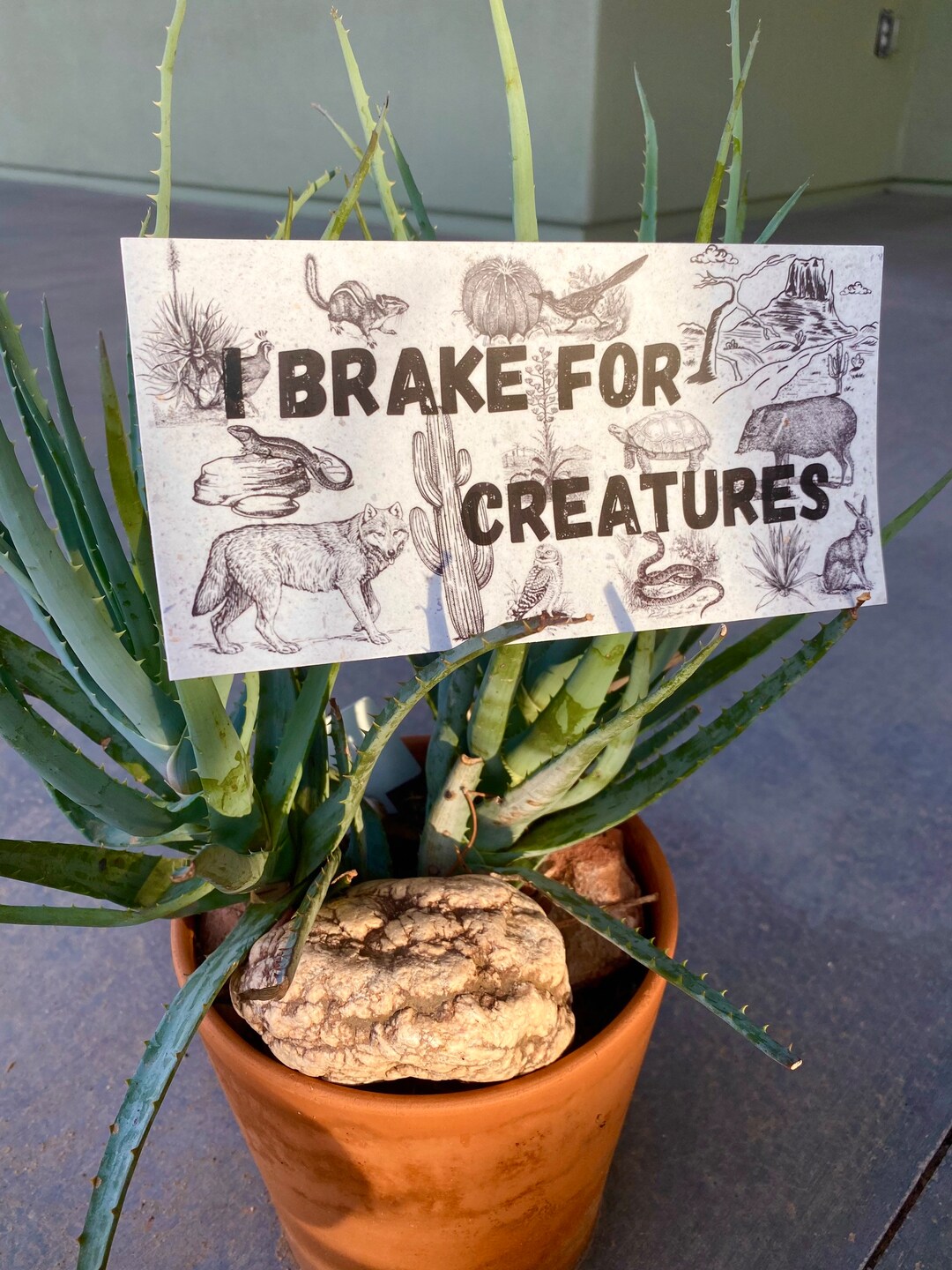 I Brake for Creatures Bumper Sticker - Southwest Themed - Etsy