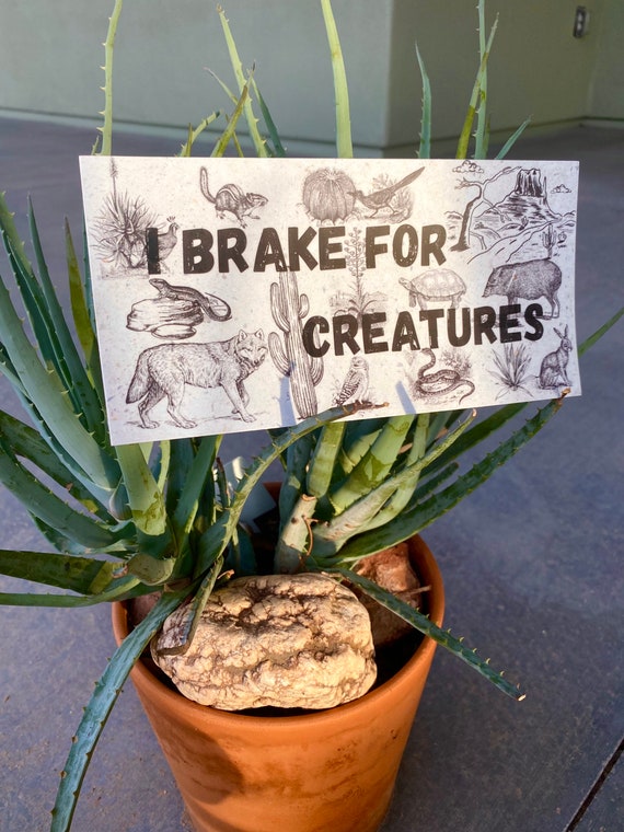 I Brake for Creatures Bumper Sticker - Etsy