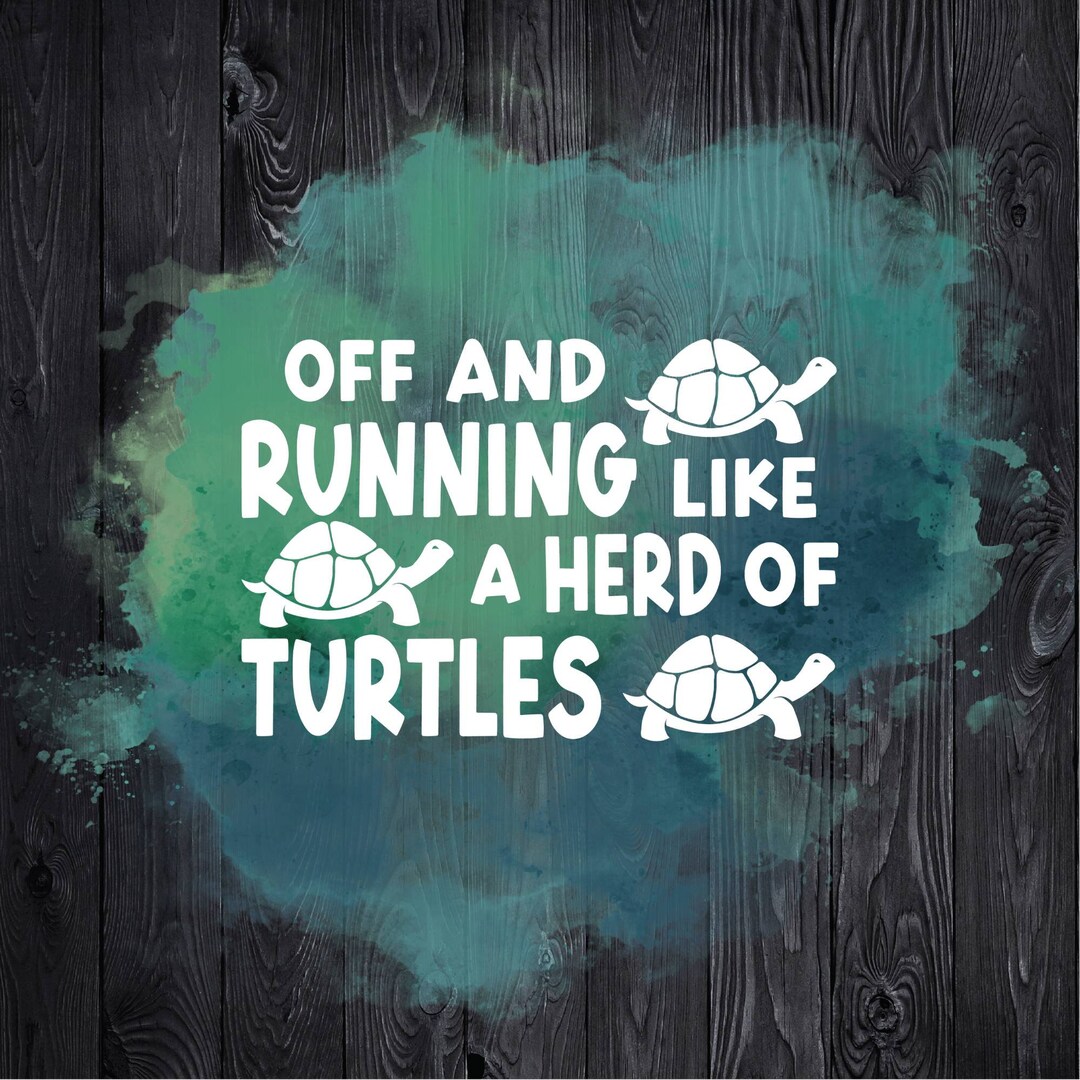 Running Like a Herd of Turtles Car Decal, Turtle Sticker - Etsy