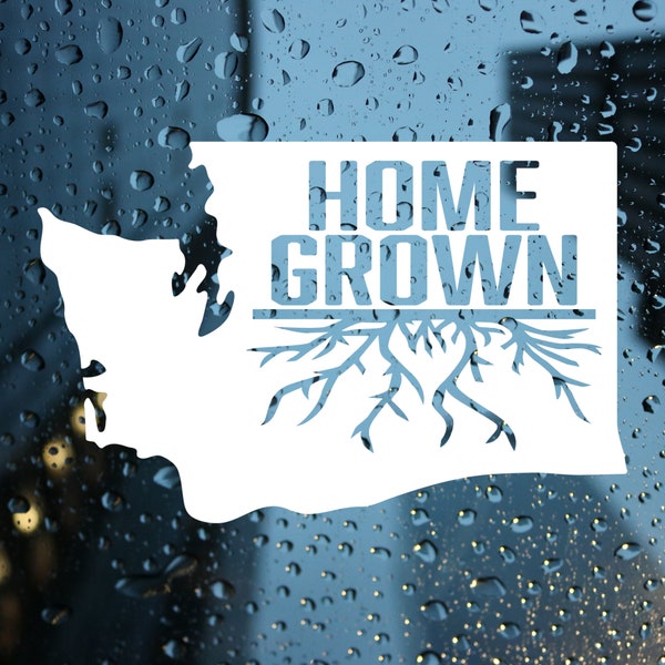 Washington Sticker - Etsy