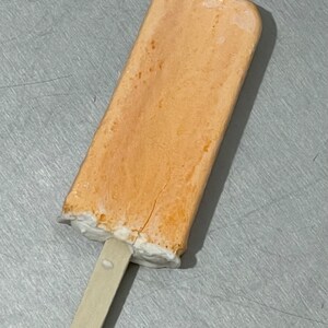 Freeze Dried Ice Cream Treats, Orange Dream Ice Cream Bar, Crunchy ...