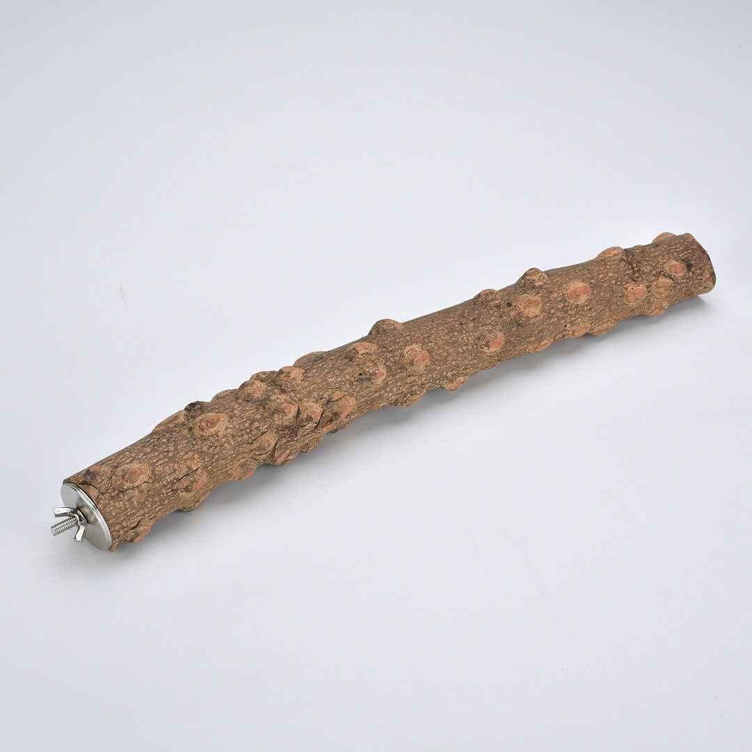Extra Large Natural Pepper Wood Parrot Perch - Etsy