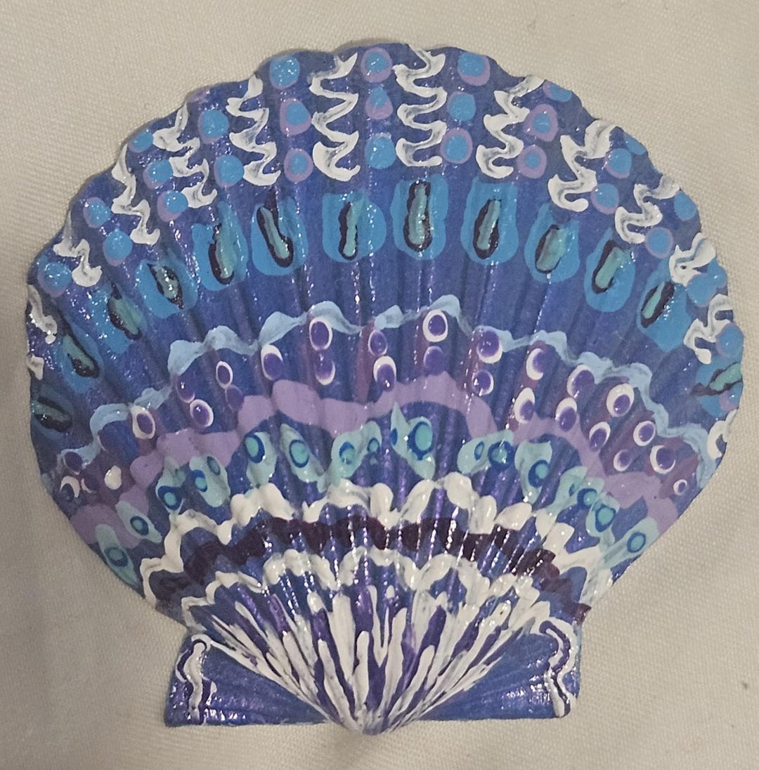 Hand Painted Cape Cod Seashell - Etsy