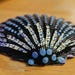Unique** Cape Cod Hand-painted Scallop Shell - Etsy