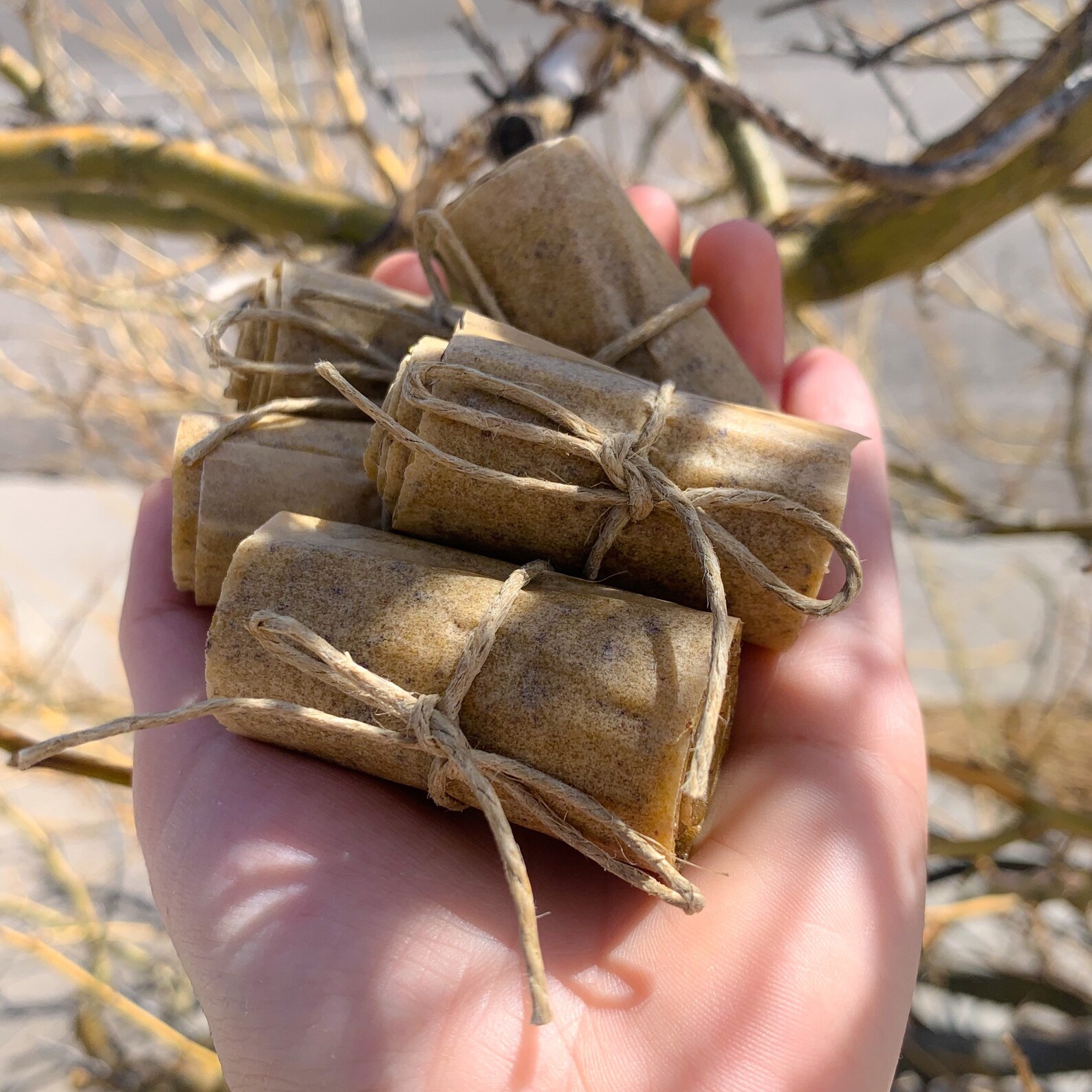 Natural Fruit Roll Ups Raw Vegan Fruit Snack Organic | Etsy