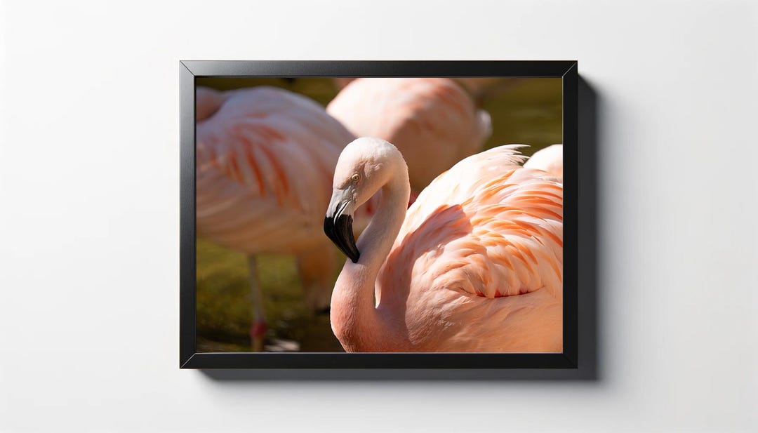 Flamingo Portrait Photo Fine Art Print - Etsy