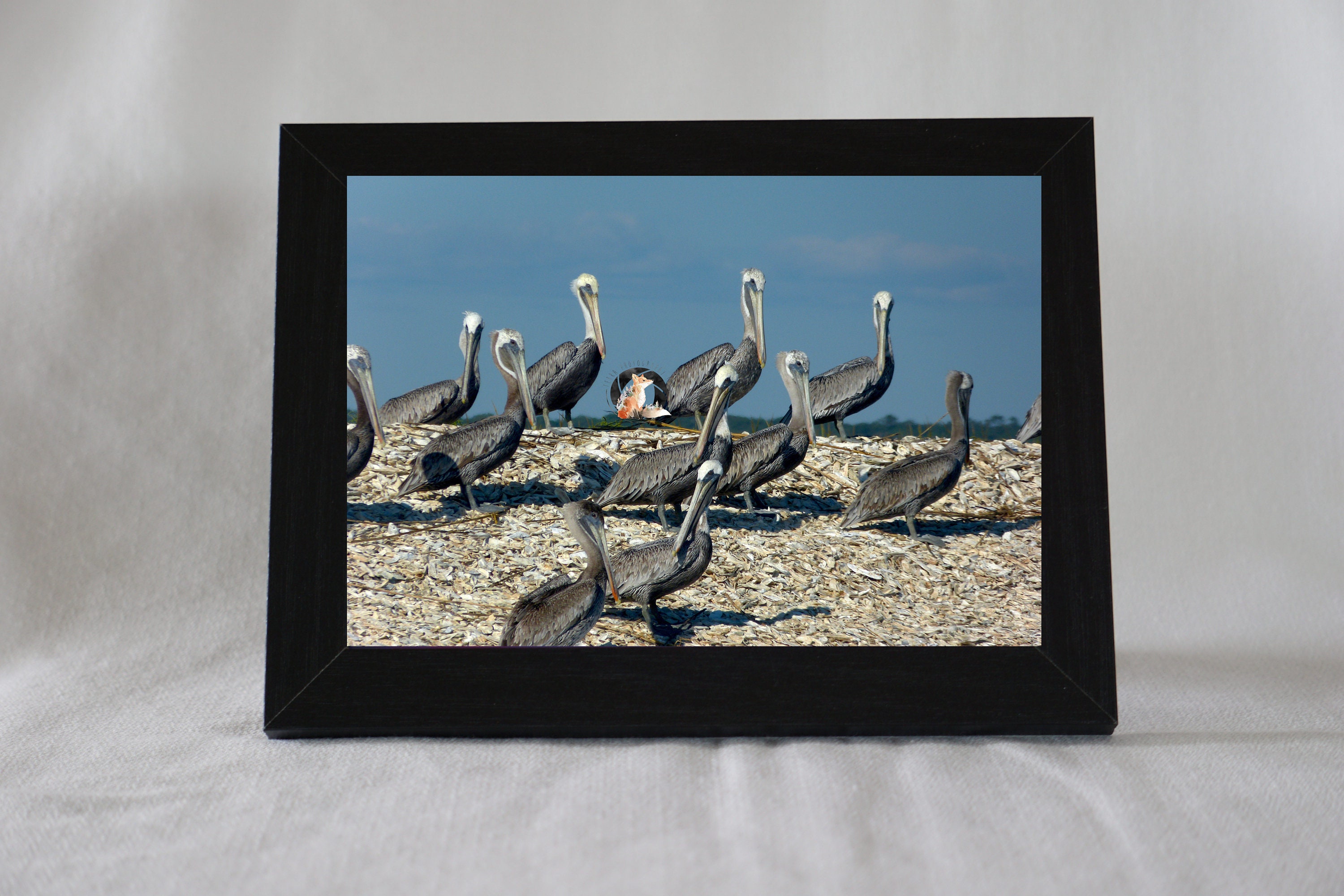 Pelicans Print Pelicans Photo Pelicans Wall Art Pelicans - Etsy