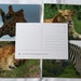 Safari Postcards Set of 10 Variety Pack | Snail Mail | Pen Pals ...
