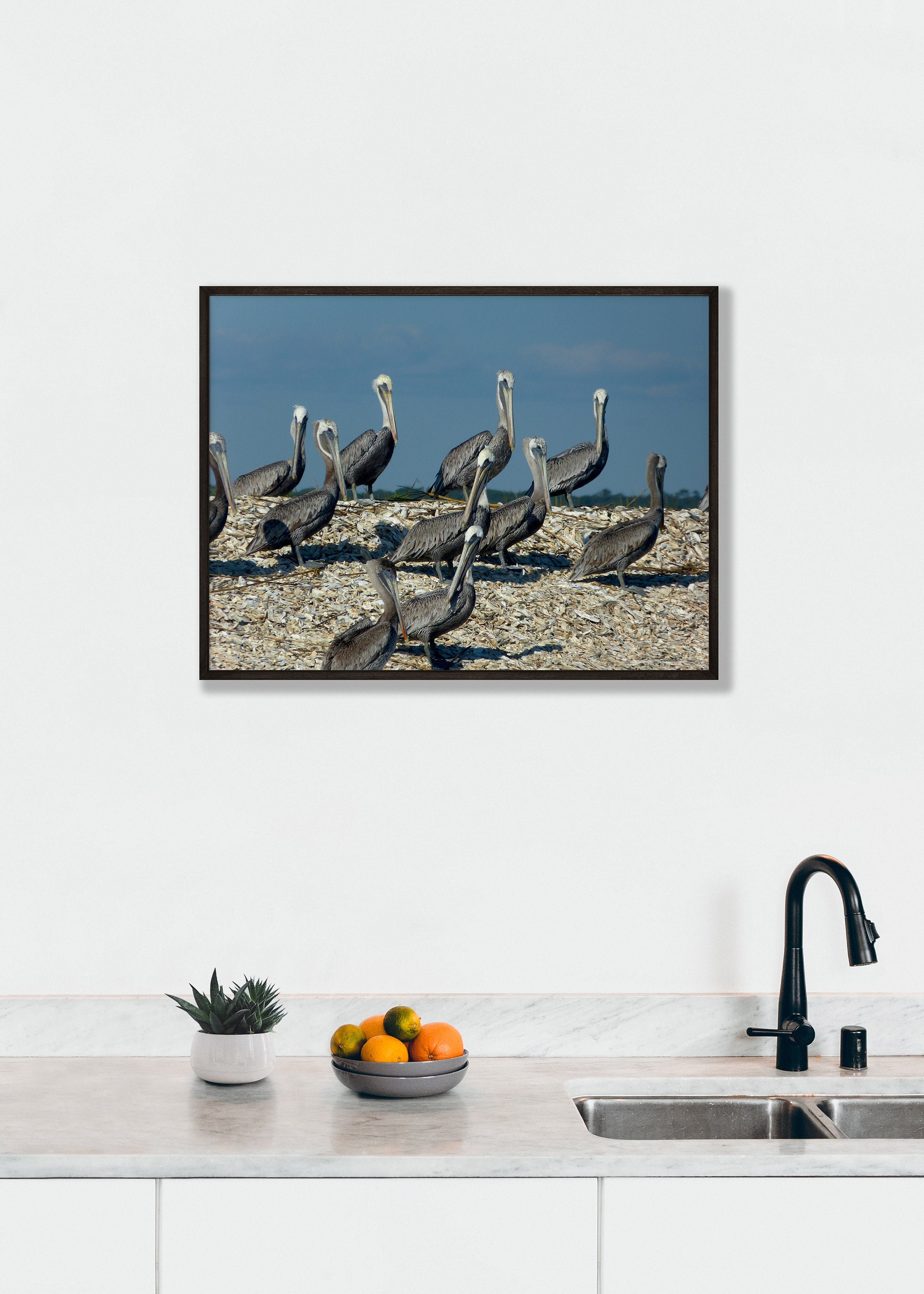 Pelicans Photo Print | Coastal Bird Wall Art - Etsy