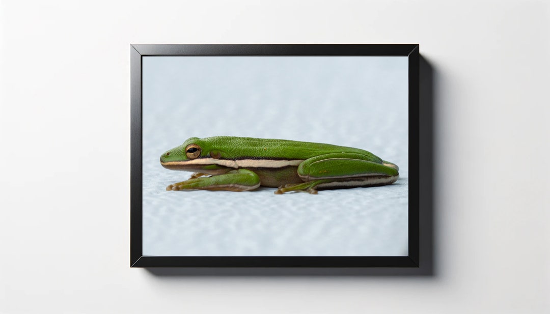 American Green Tree Frog Print | American Tree Frog Photo | Tree Frog ...