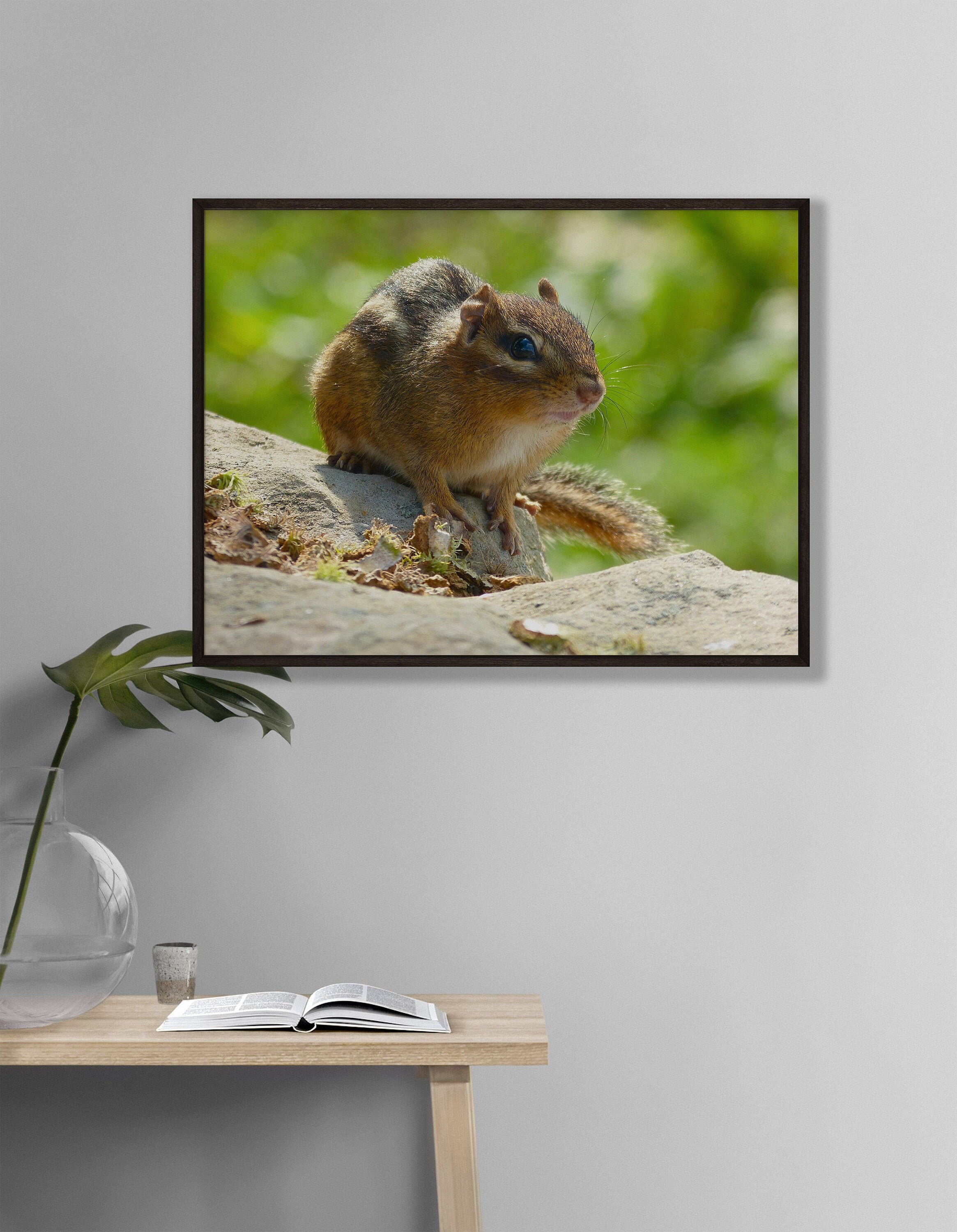 Chipmunk Print Chipmunk Photo Chipmunk Wall Decor Chipmunk Wall Art ...