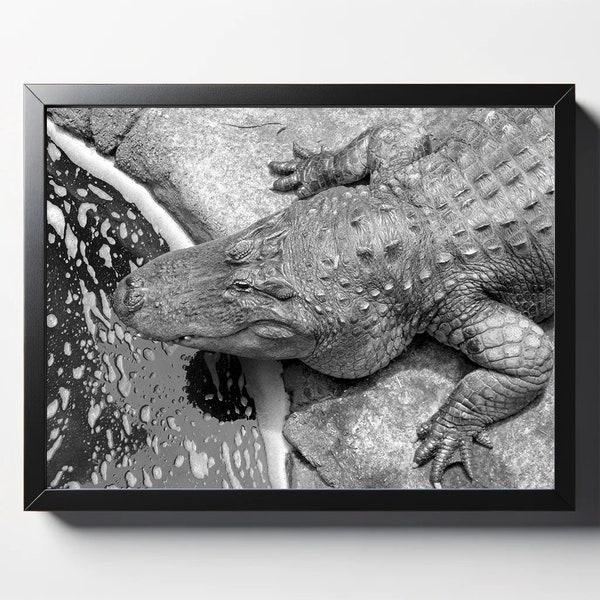 Alligator Wall Decor - Etsy