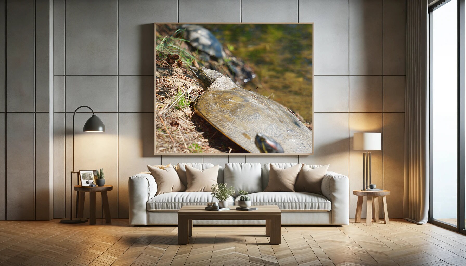 Spiny Soft-shell Turtle Print | Spiny Soft-shell Turtle Photo | Turtle ...