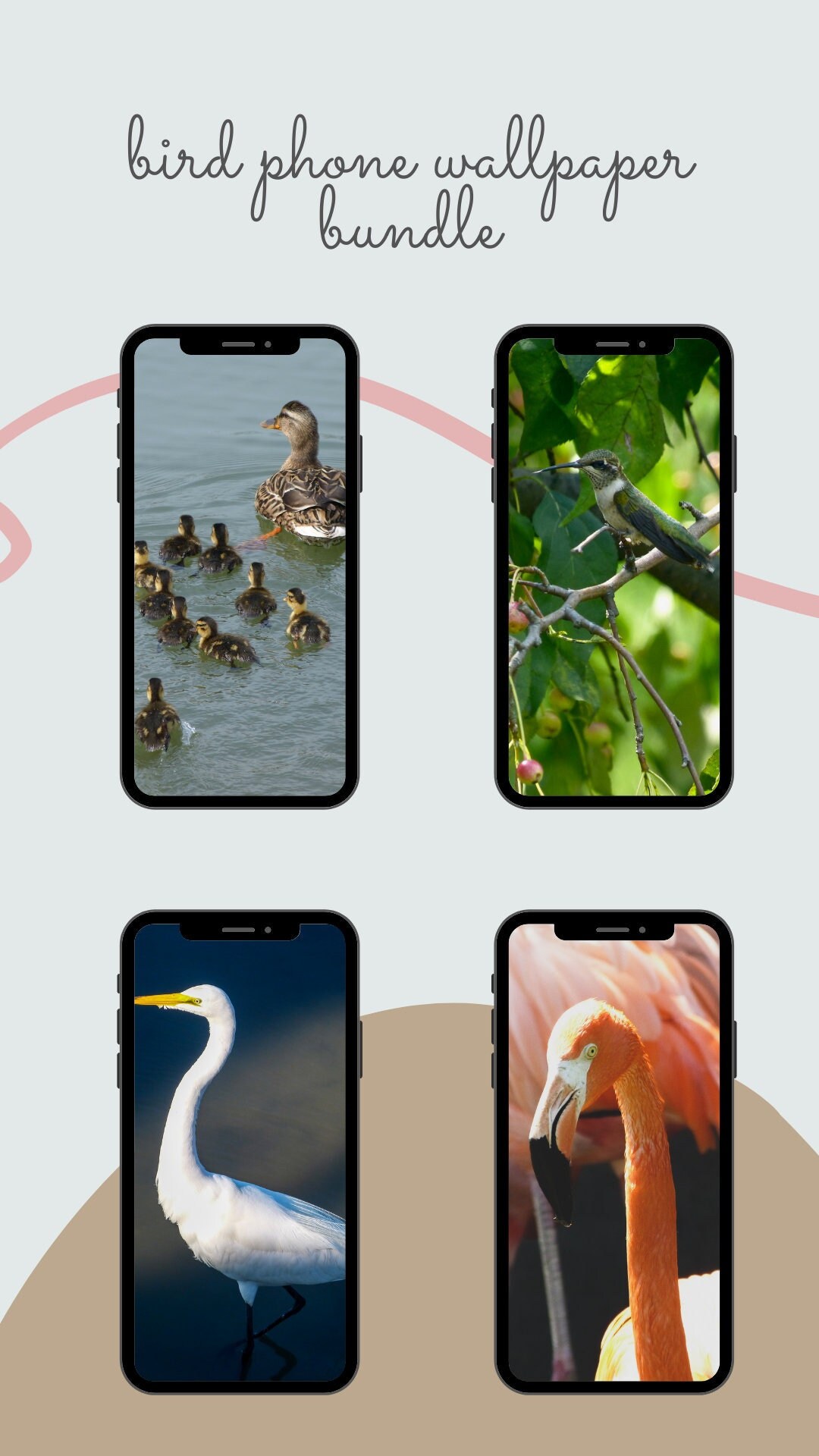 Bird Phone Wallpaper Bundle: Series 1 - Etsy