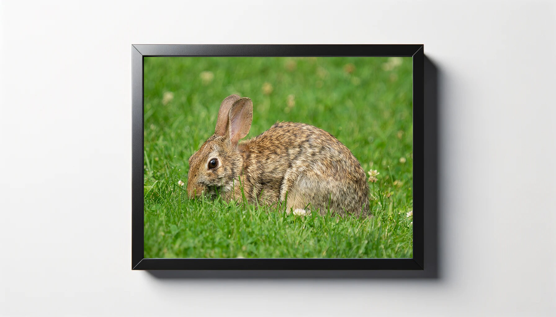 Cute Bunny With Clovers Print Bunny Decor Animal Decor - Etsy