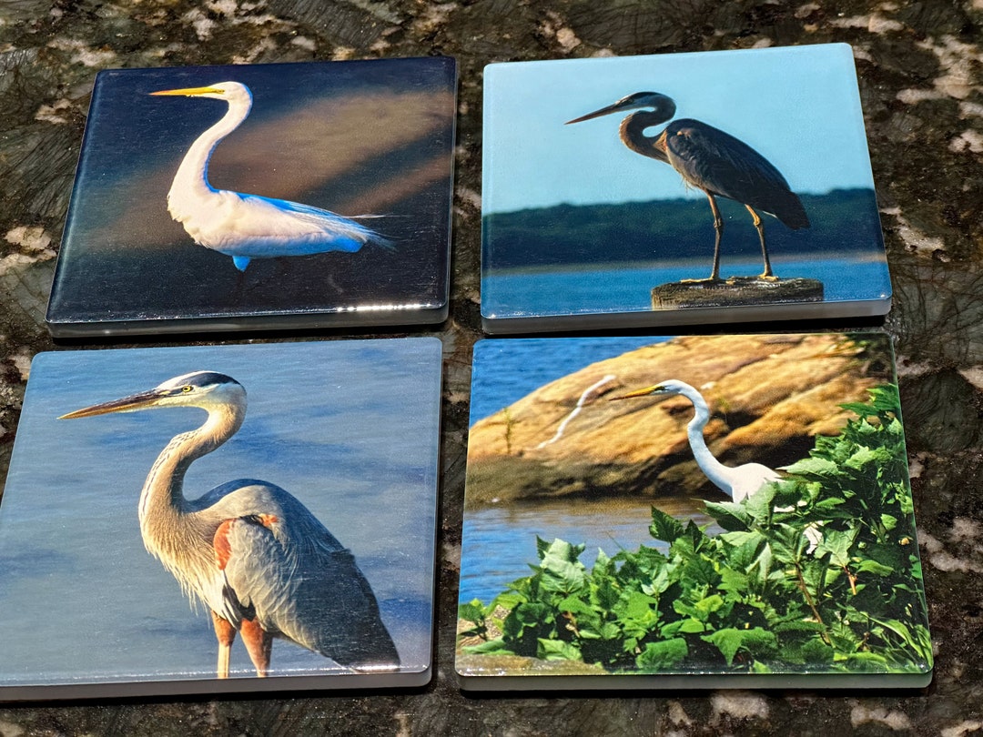 Egret and Heron Ceramic Coasters Set of 4 - Etsy