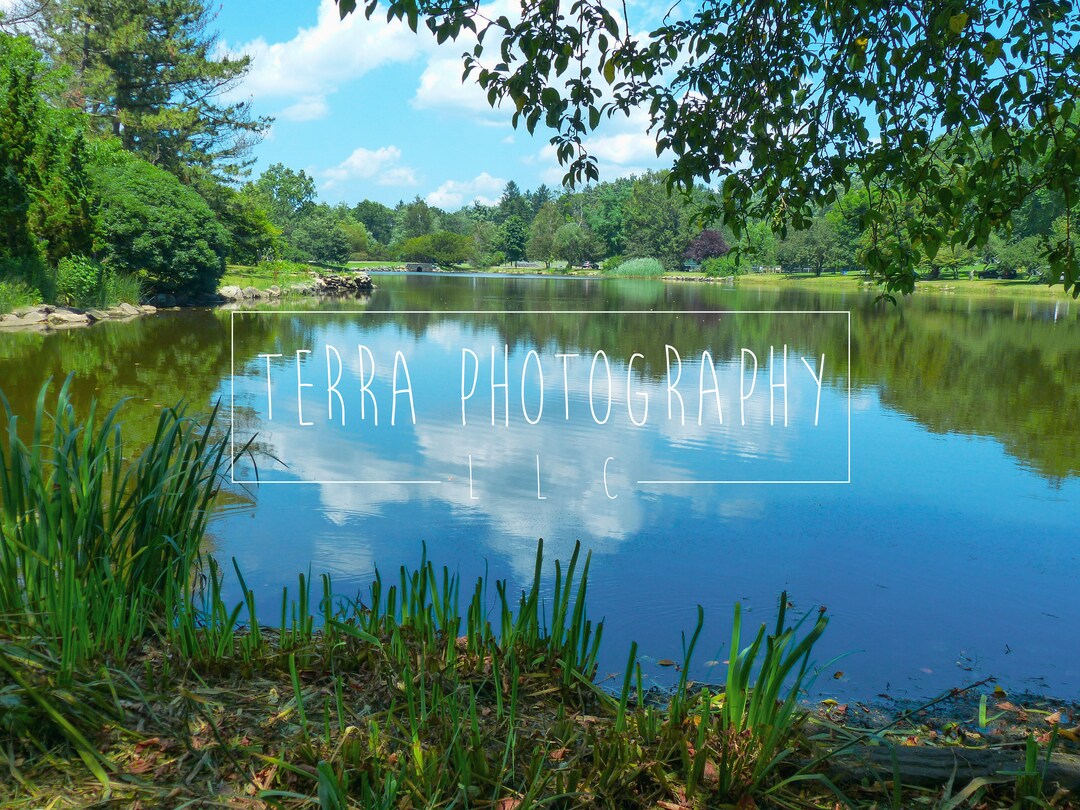 Pretty Pond Print Pretty Pond Photo Pond Wall Art Pond - Etsy