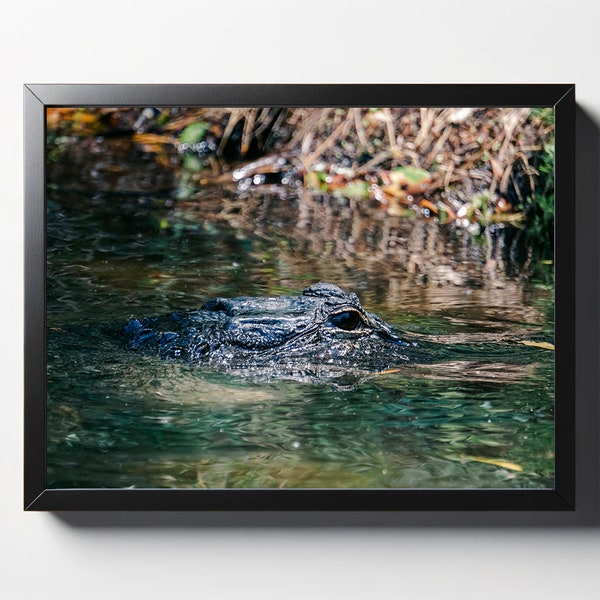Alligator Wall Decor - Etsy