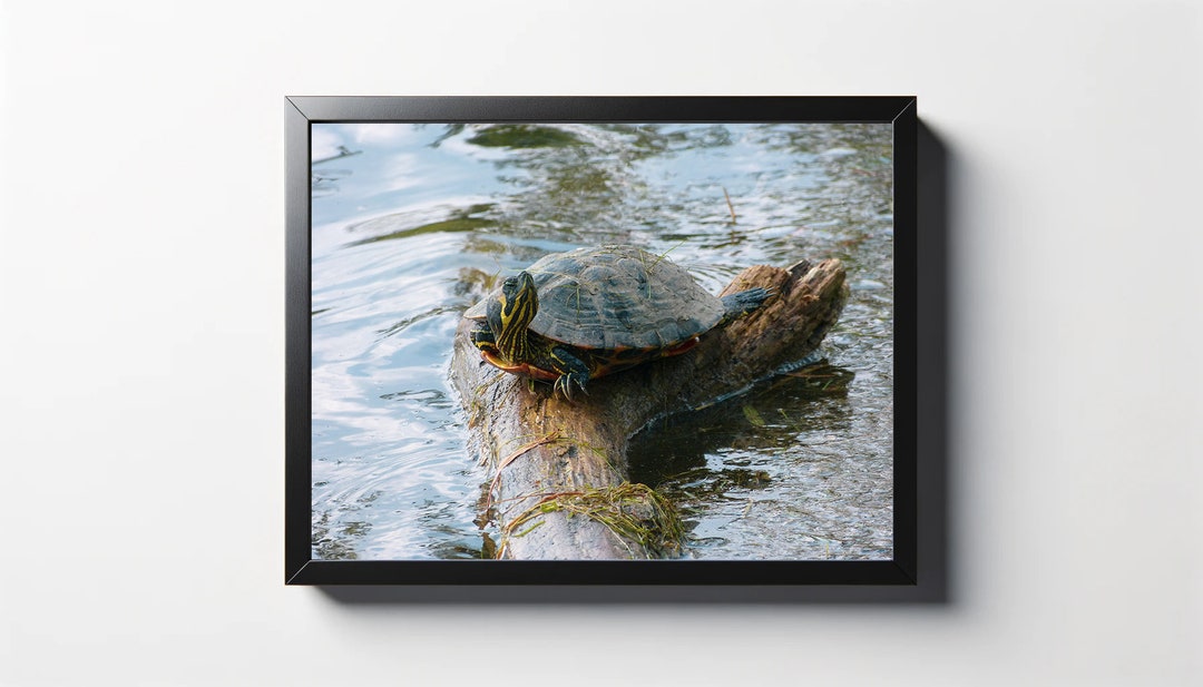 Turtle on Log Photo | Wildlife Animal Print - Etsy