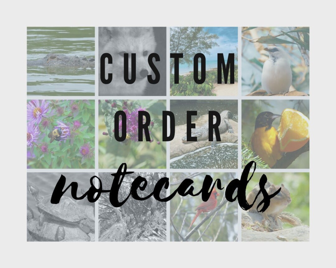 Custom Mini Greeting Card Set | Blank Inside Photo Notecards - Etsy