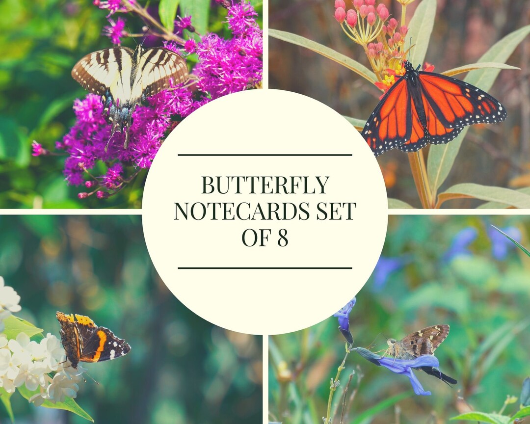 Butterfly Photography Note Cards Set | Snail Mail Stationery - Etsy