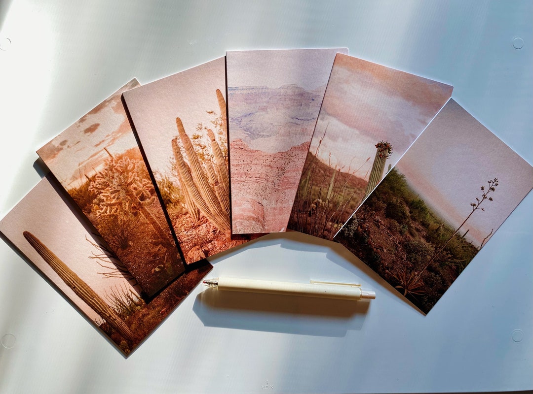 Desert Plant Landscape Soft Pink Card Set With a Tucson Sunset - Etsy