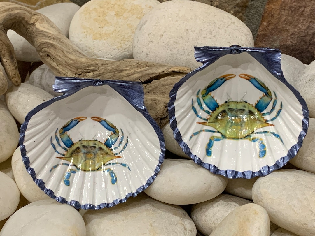 Blue Claw Crab Decoupage Scallop Shell Ring Dish - Long Island Shells ...