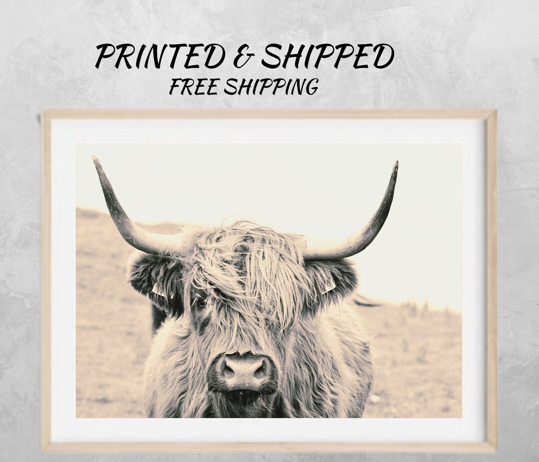 Highland Cow Wall Art Cow Buffalo Picture Rustic Farmhouse Cow Bull ...