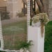 Romantic Custom Sheer Lace Welcome Sign - Etsy