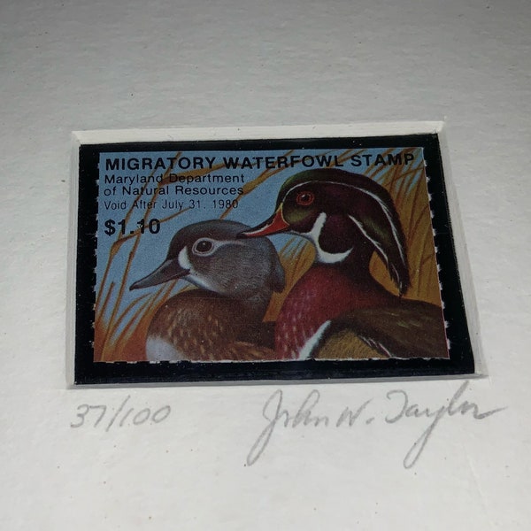 Duck Stamp Frame - Etsy