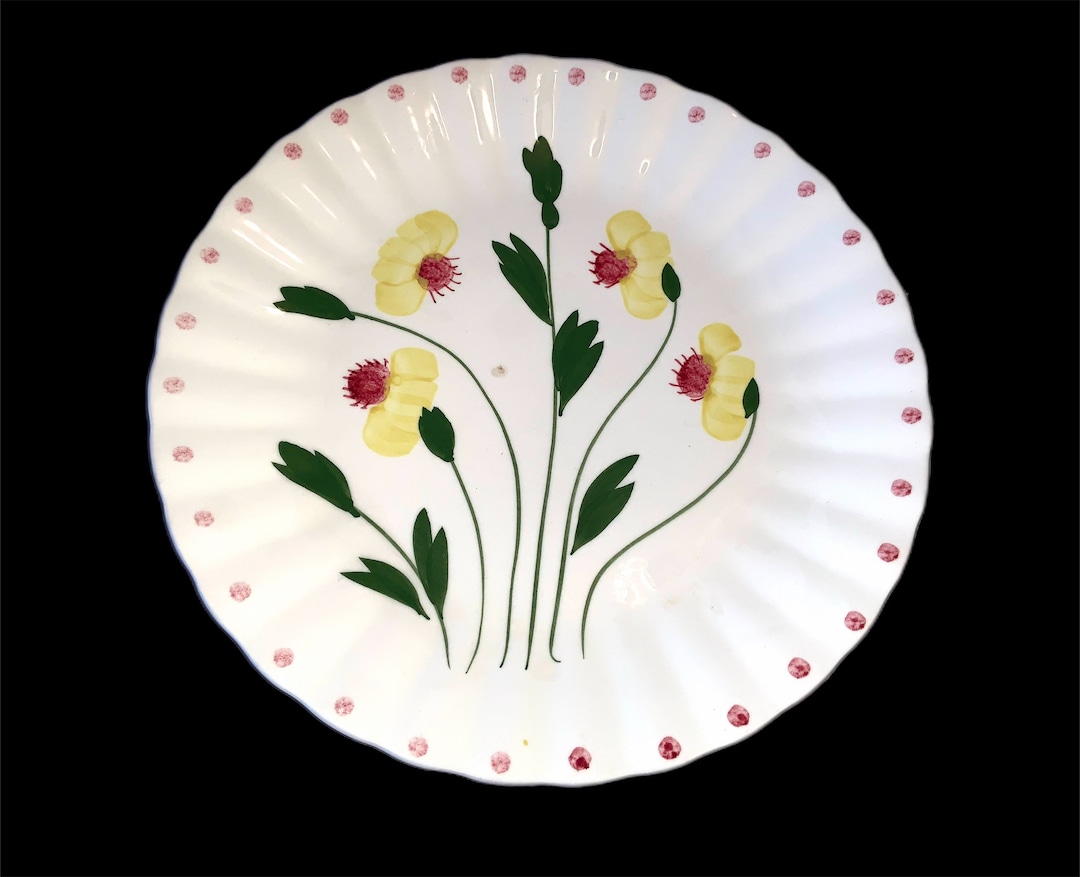 Blue Ridge Southern Pottery Hand Painted Underglaze - Etsy