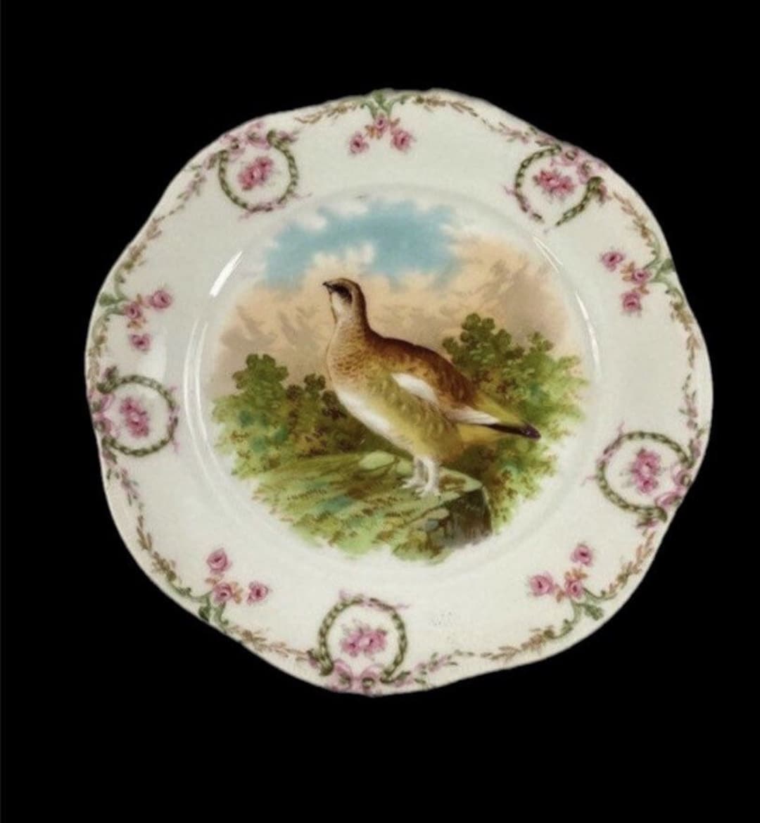 Vintage Zeh Scherzer Mignon Bavaria 7.5 Inch Decorative Bird Plate ...