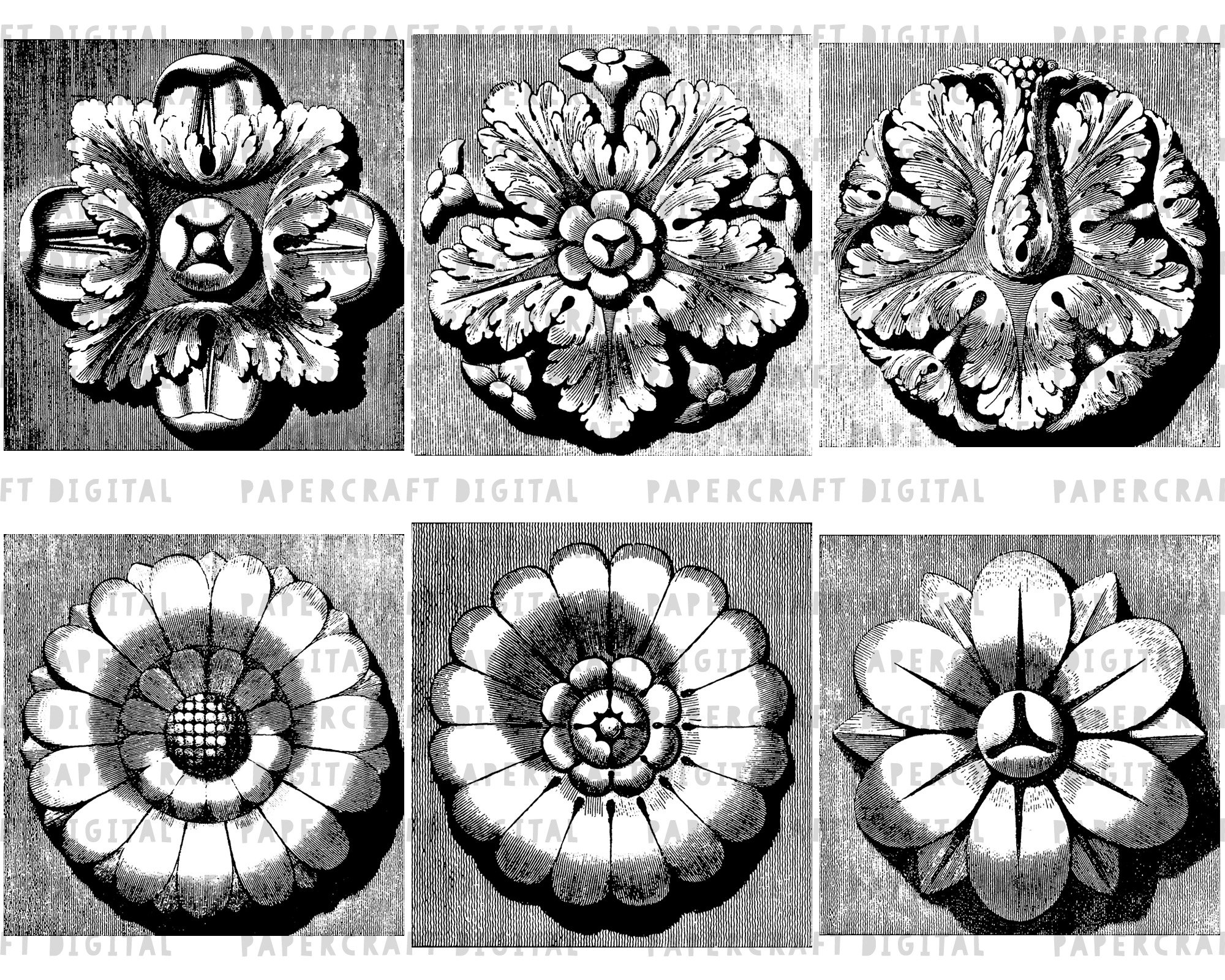 Old Ancient Roman Rosettes | Decorative Motif | Digital Transparent PNG ...