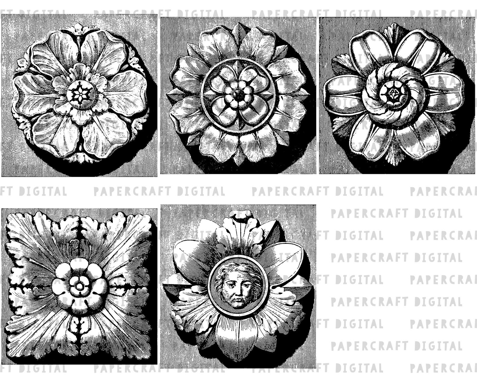 Old Ancient Roman Rosettes | Decorative Motif | Digital Transparent PNG ...