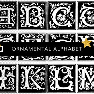 Old Medieval Illuminated Initials | Medieval Alphabet | Decorative Font ...