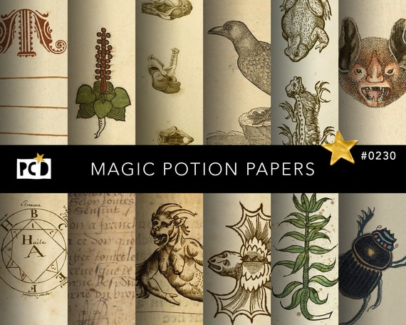 Wizard & Witch Spell Book Pages / Old Digital Paper Pack - Etsy
