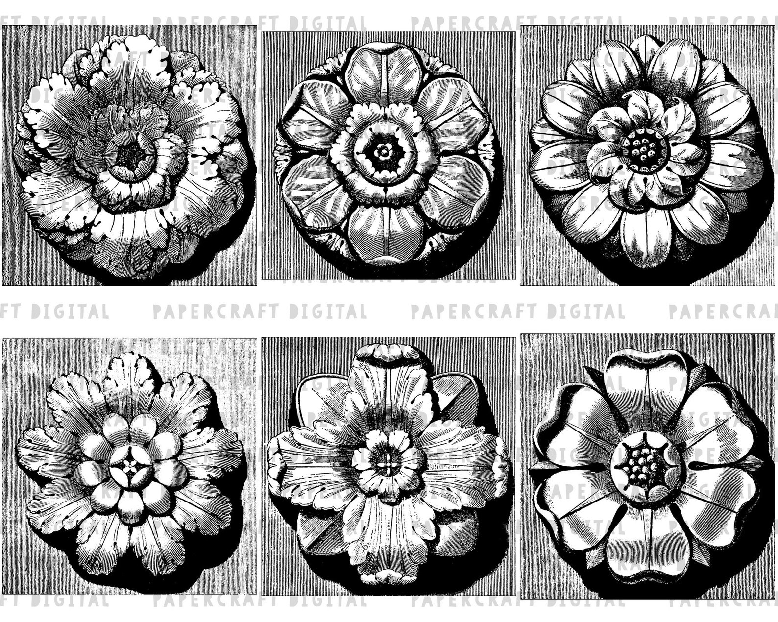 Old Ancient Roman Rosettes | Decorative Motif | Digital Transparent PNG ...