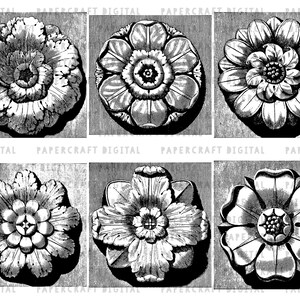 Old Ancient Roman Rosettes | Decorative Motif | Digital Transparent PNG ...