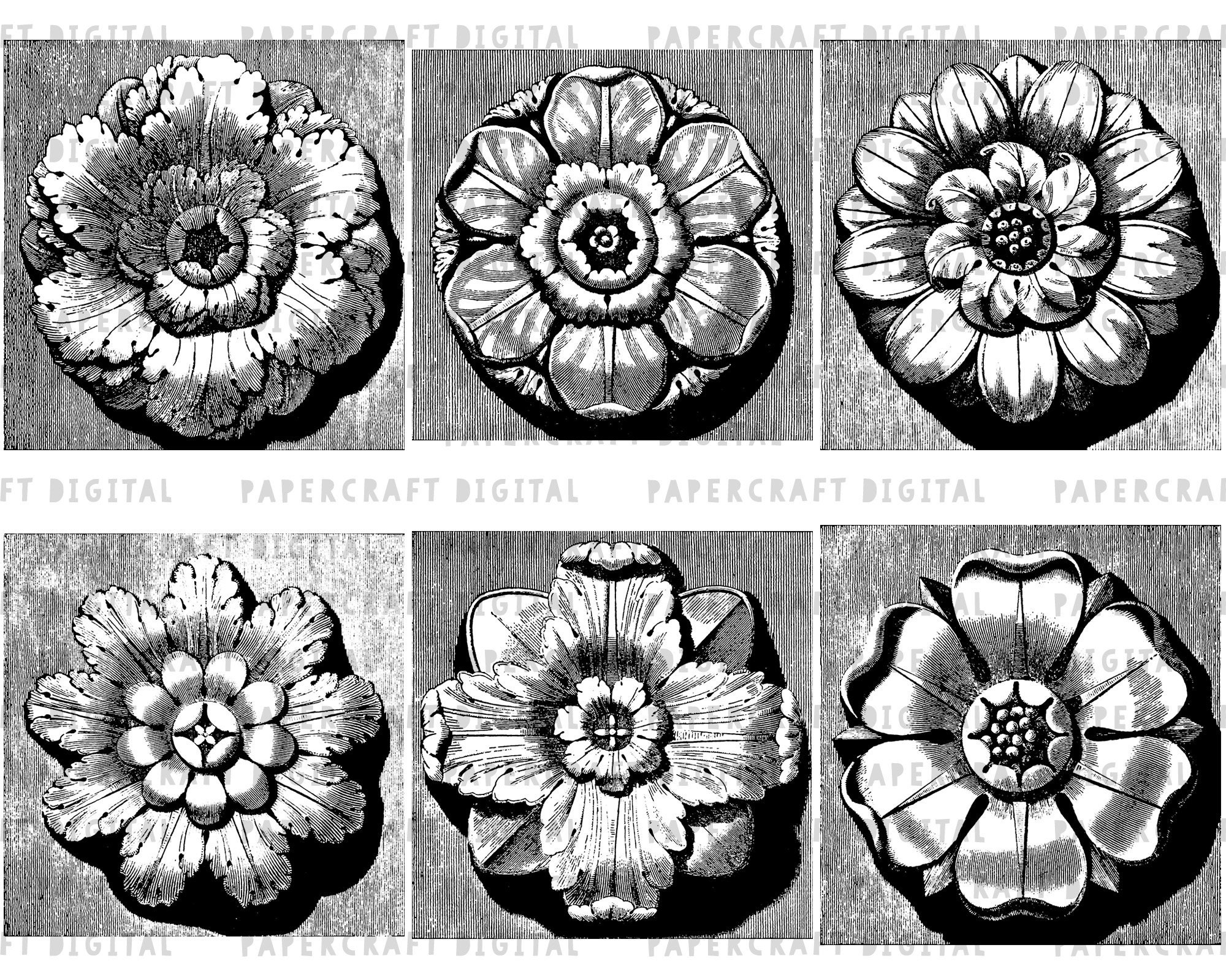 Old Ancient Roman Rosettes | Decorative Motif | Digital Transparent PNG ...