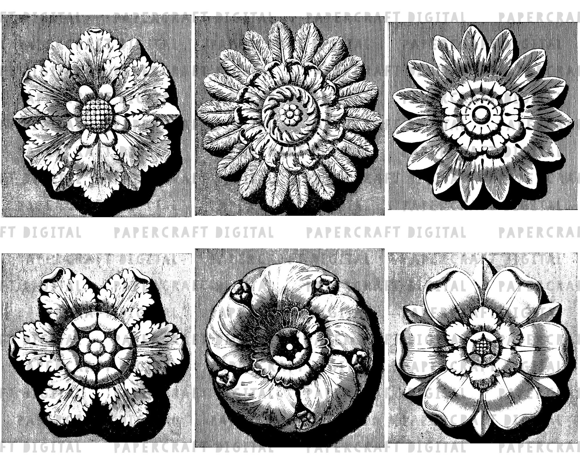 Old Ancient Roman Rosettes | Decorative Motif | Digital Transparent PNG ...