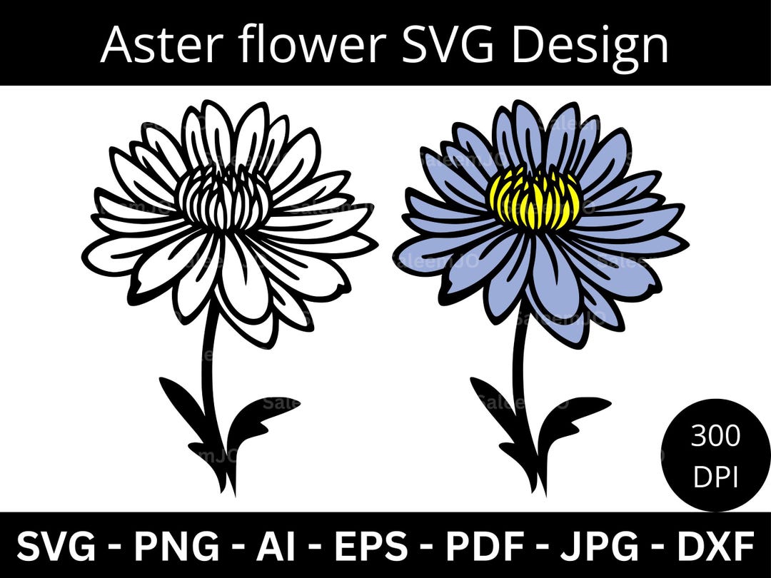 Aster Flower SVG Clipart: Floral Outline, Coloring Pages (digital ...