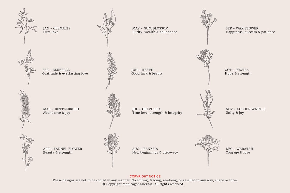 CUSTOM BIRTH FLOWER Australian Native Birth Month Flower - Etsy