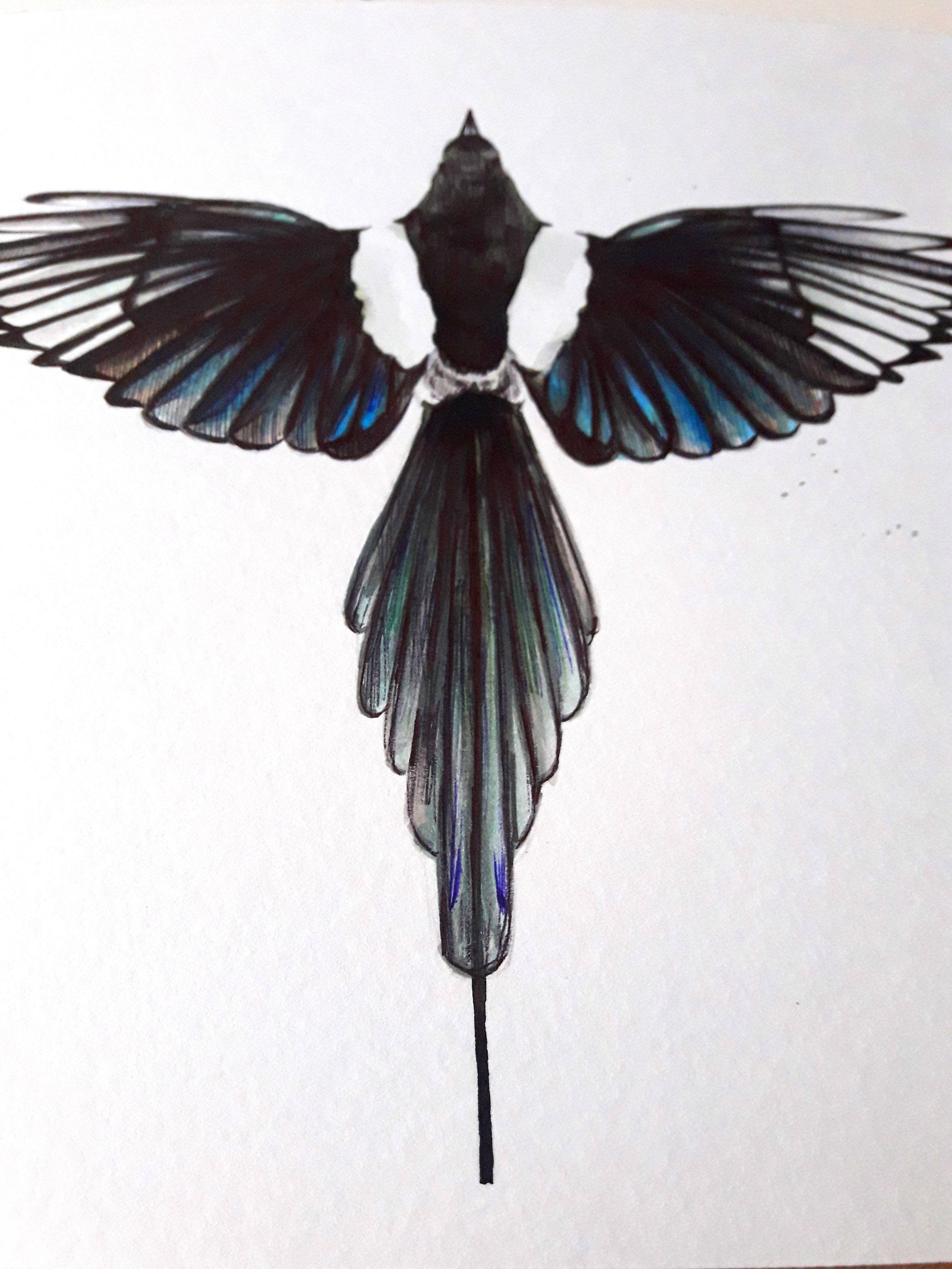 MAGPIE ORIGINAL ART Magpie drawing Australian Bird Print | Etsy