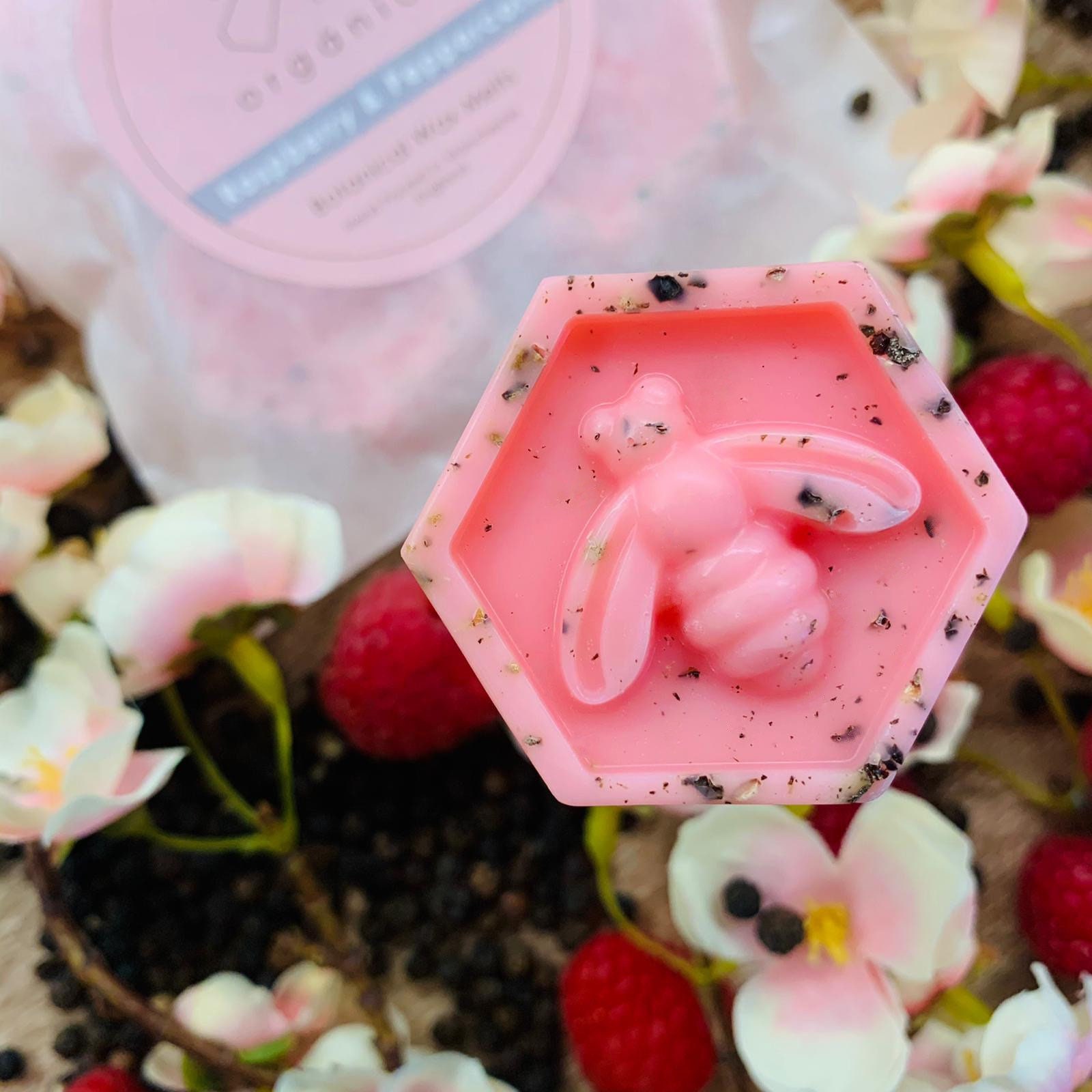 Raspberry & Peppercorn Botanical Soy Wax Melts / 100% Vegan | Etsy