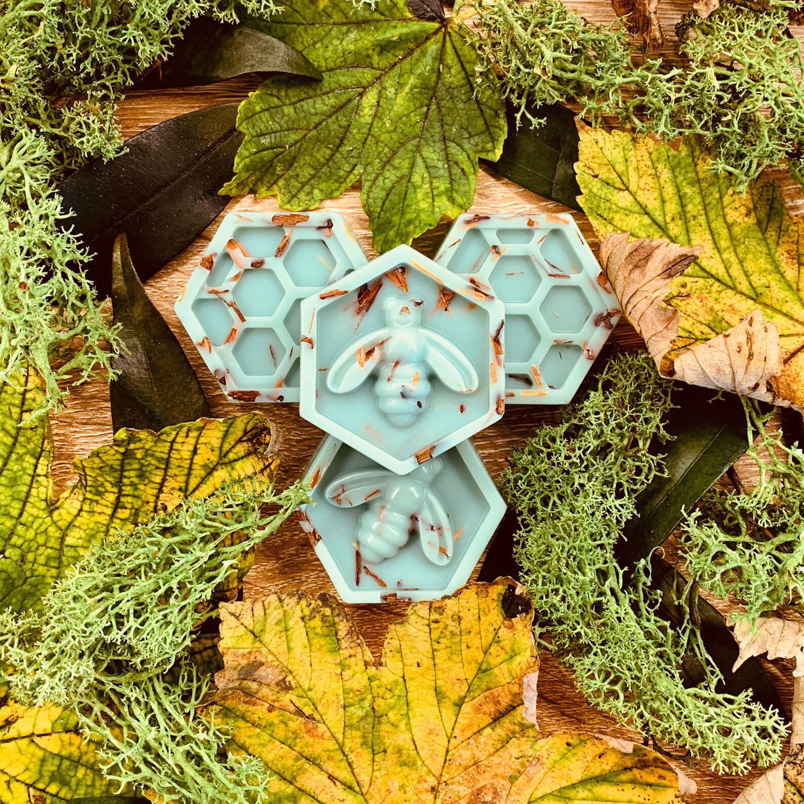 Geranium & Willow Moss Botanical Soy Wax Melts / 100% Vegan - Etsy UK